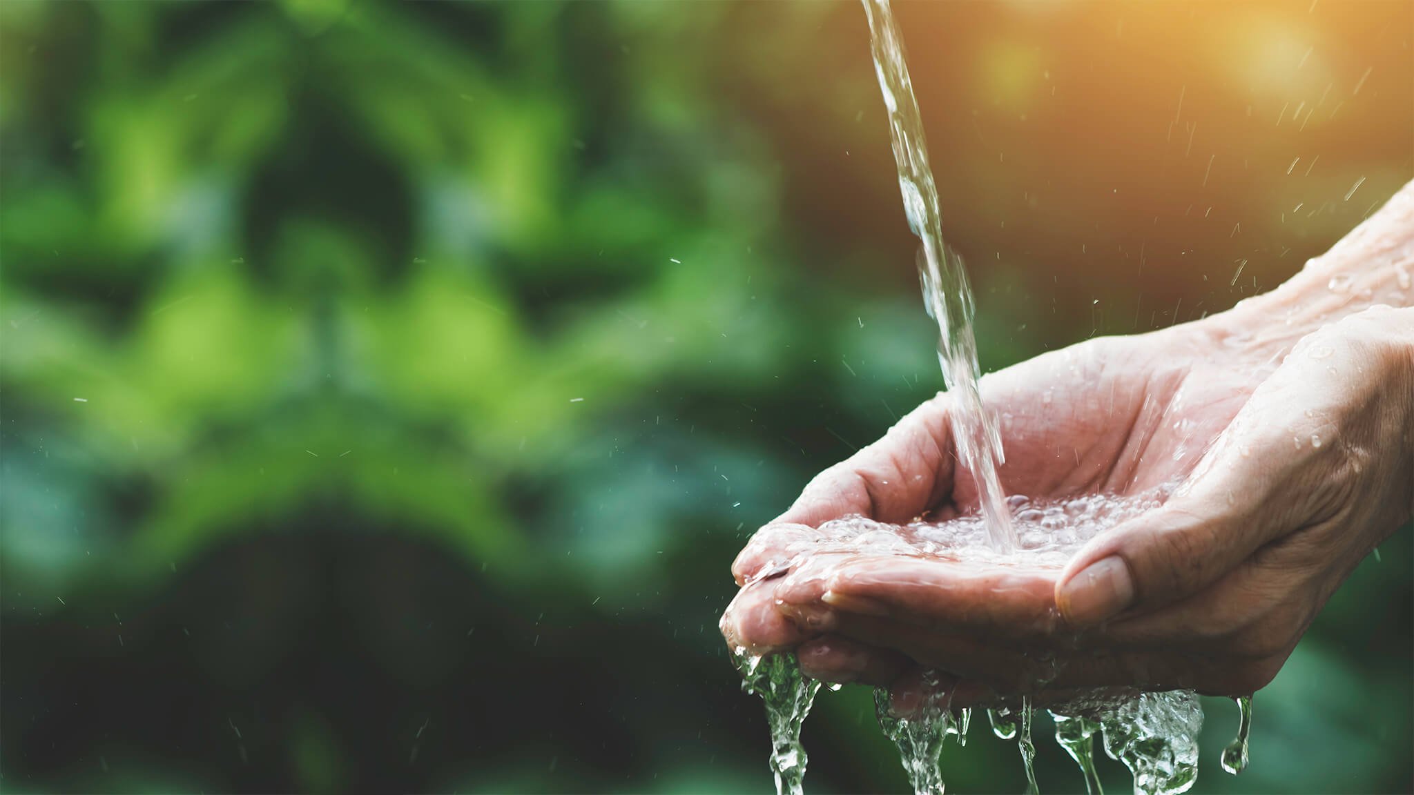 Concept - Water futures